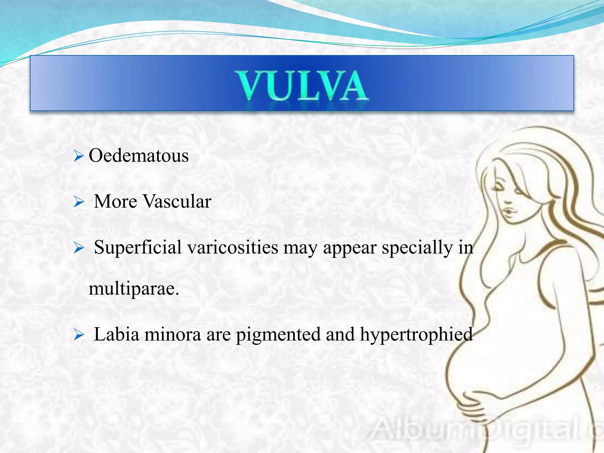 maternal adaptation during pregnancy | PPTX