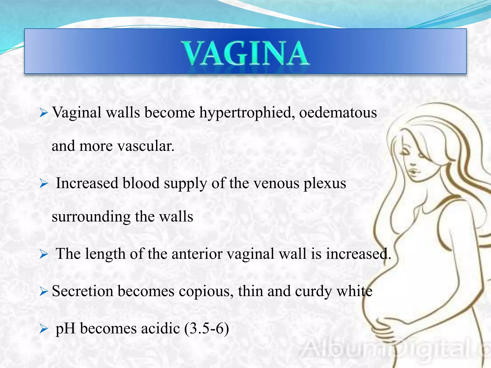 maternal adaptation during pregnancy | PPTX