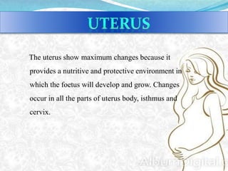 maternal adaptation during pregnancy | PPTX