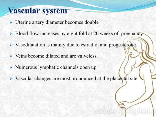 maternal adaptation during pregnancy | PPTX | Pregnancy | Reproductive ...