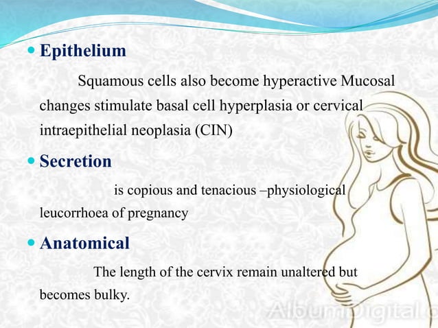 maternal adaptation during pregnancy | PPTX | Pregnancy | Reproductive ...