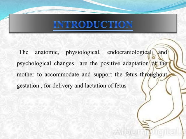 maternal adaptation during pregnancy | PPTX | Pregnancy | Reproductive ...
