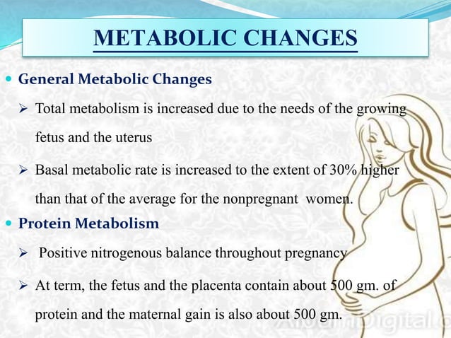 maternal adaptation during pregnancy | PPTX | Pregnancy | Reproductive ...