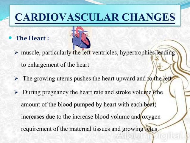 maternal adaptation during pregnancy | PPTX | Pregnancy | Reproductive ...