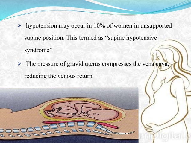 maternal adaptation during pregnancy | PPTX | Pregnancy | Reproductive ...