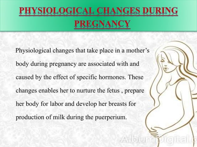 maternal adaptation during pregnancy | PPTX | Pregnancy | Reproductive ...