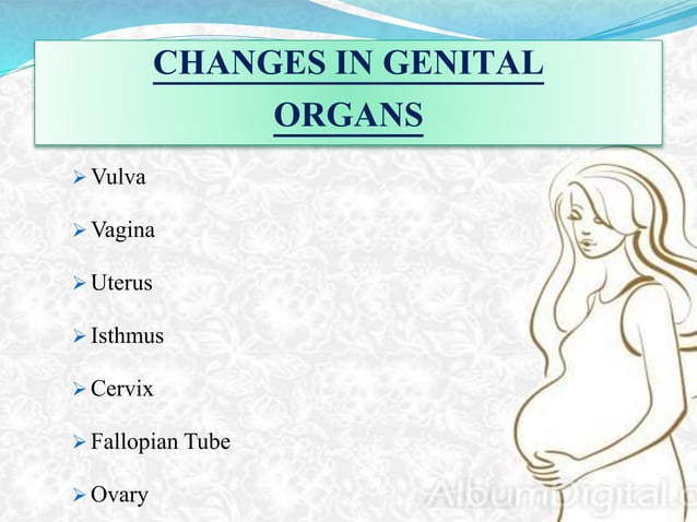 maternal adaptation during pregnancy | PPTX | Pregnancy | Reproductive ...