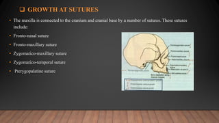 seminar on maxilla.pptx