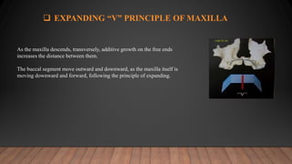 seminar on maxilla.pptx