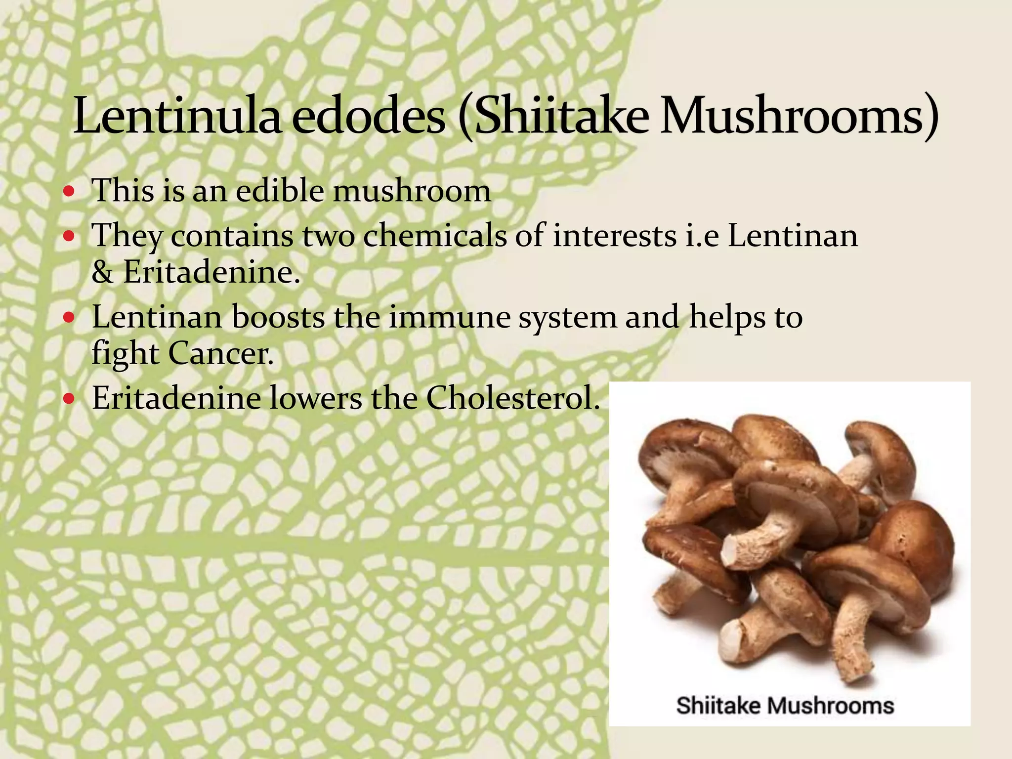 Medicinal Uses fungi. | PPTX