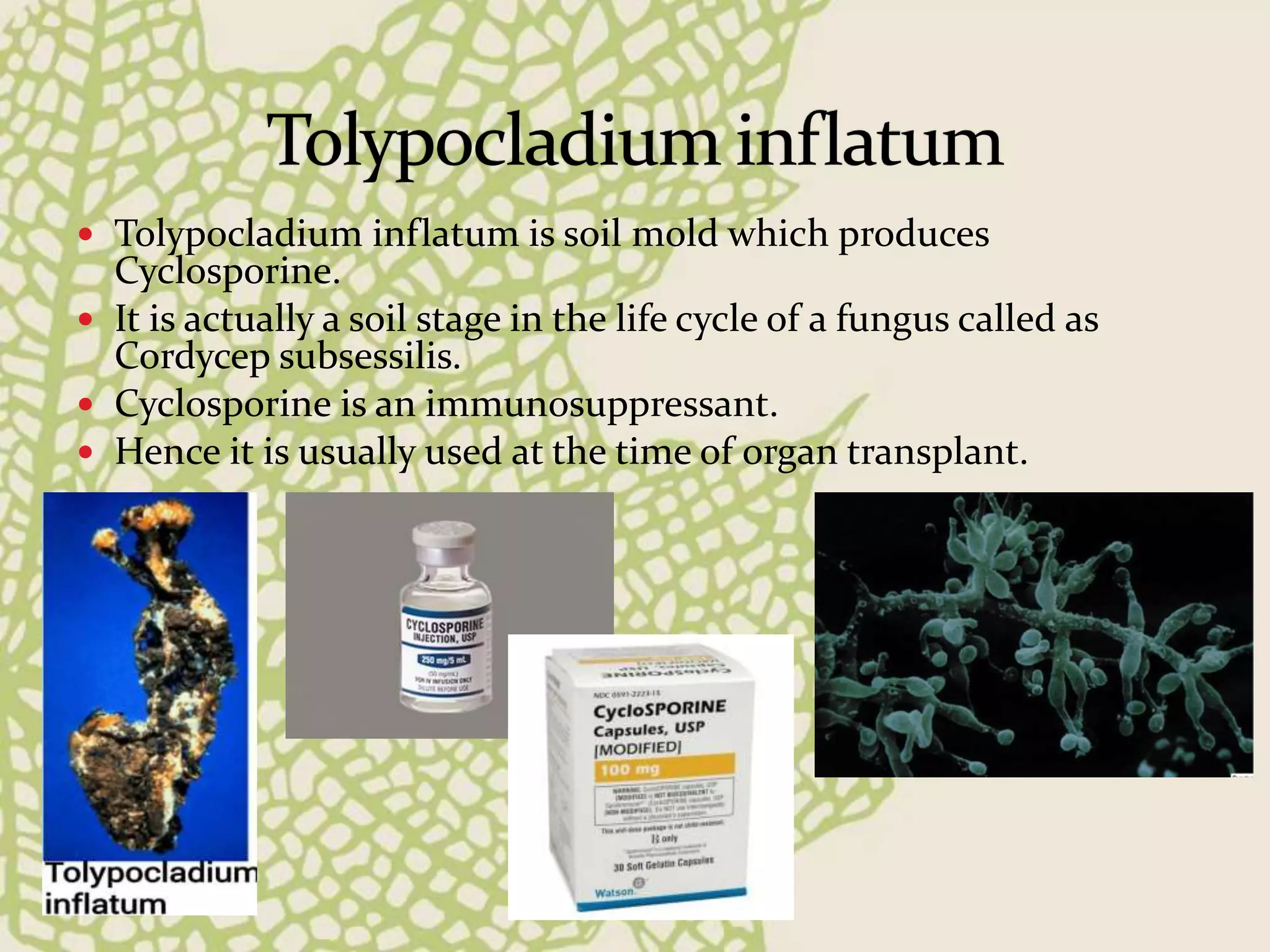 Medicinal Uses fungi. | PPTX