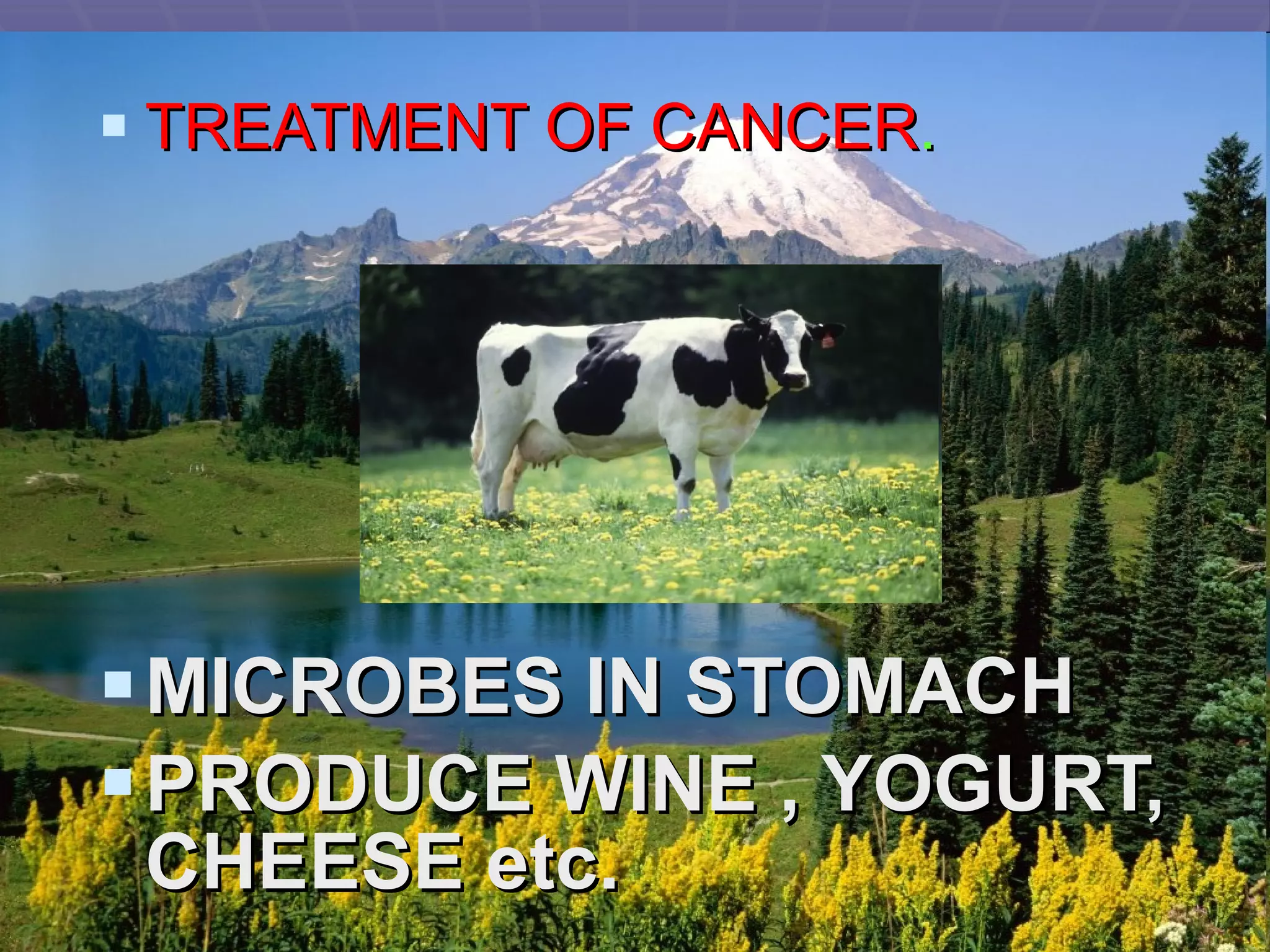 Microbiology ppt | PPT
