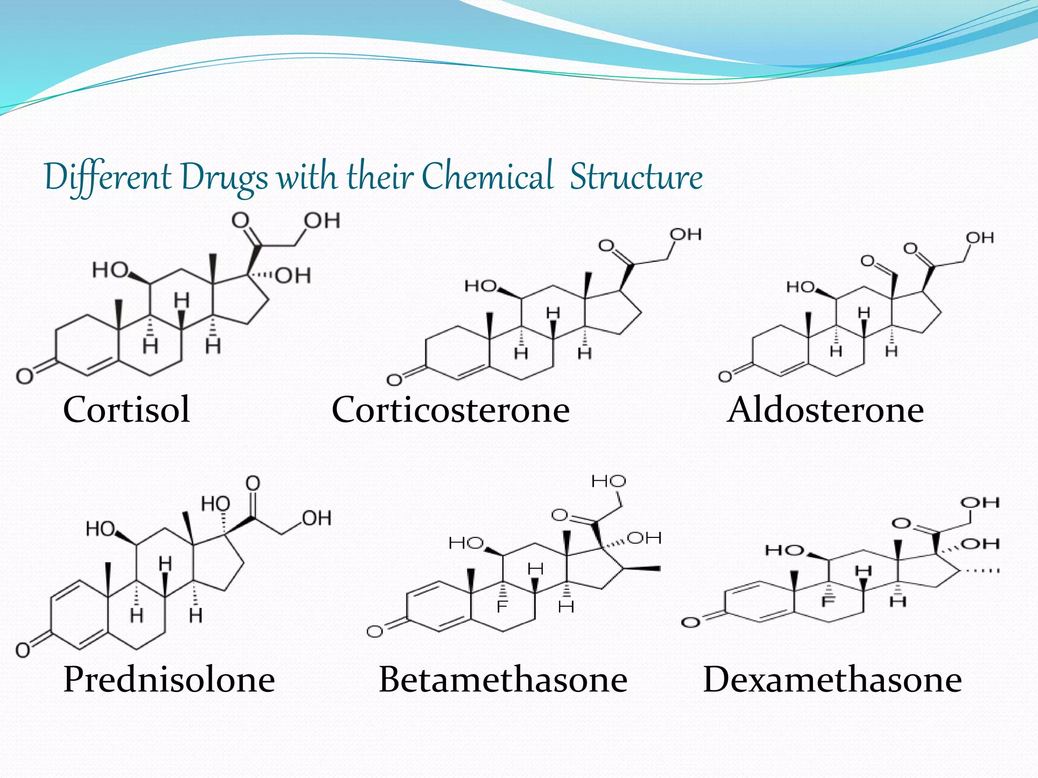 Mineralocortcoids | PPTX