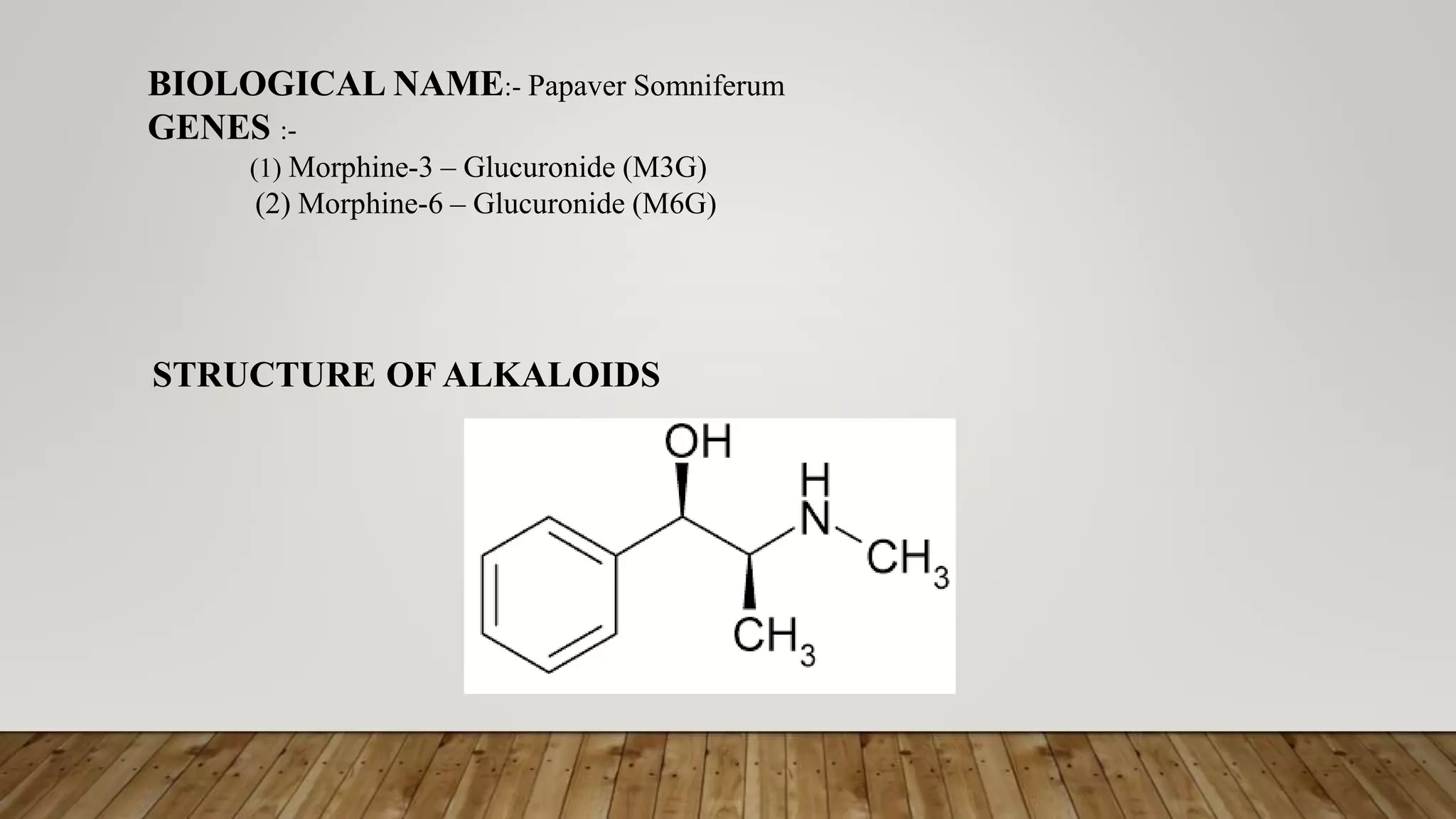 SEMINAR ON MORPHINE ALKALOIDS.pptx