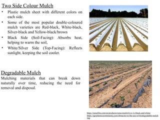 types of mulching and laying of plastic mulching film | PPTX