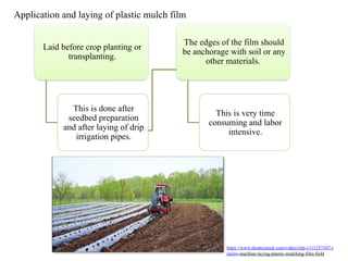 types of mulching and laying of plastic mulching film | PPTX