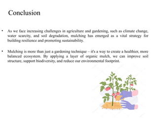 types of mulching and laying of plastic mulching film | PPTX