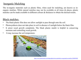 types of mulching and laying of plastic mulching film | PPTX