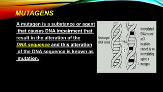 Mutation Breeding As A method of Crop Improvement by Pushpa Jharia | PPT