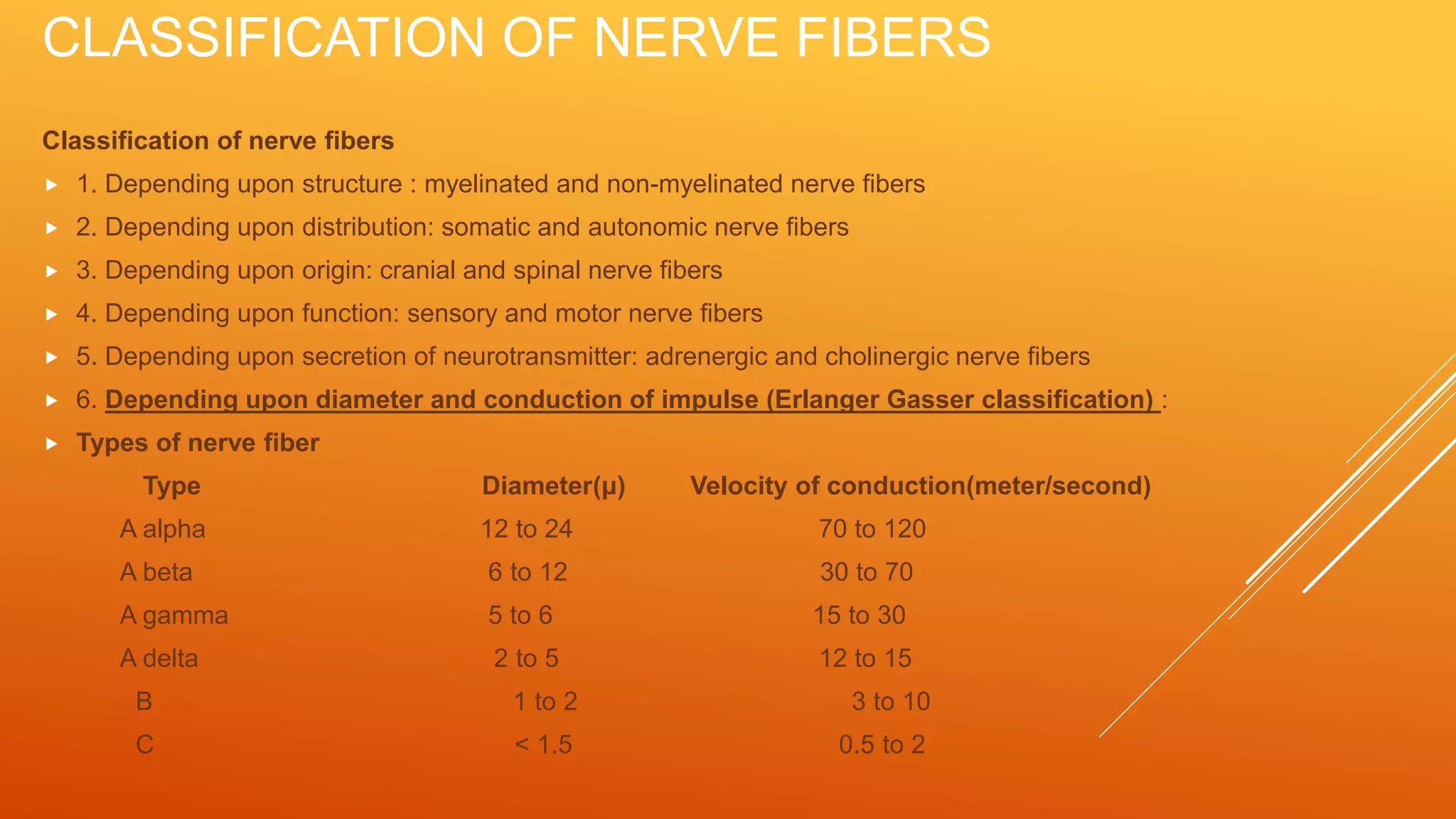 nervous system | PPTX | Brain and Nervous System Disorders | Diseases ...