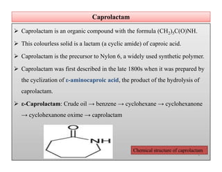 Nylon 6 Fiber | PDF
