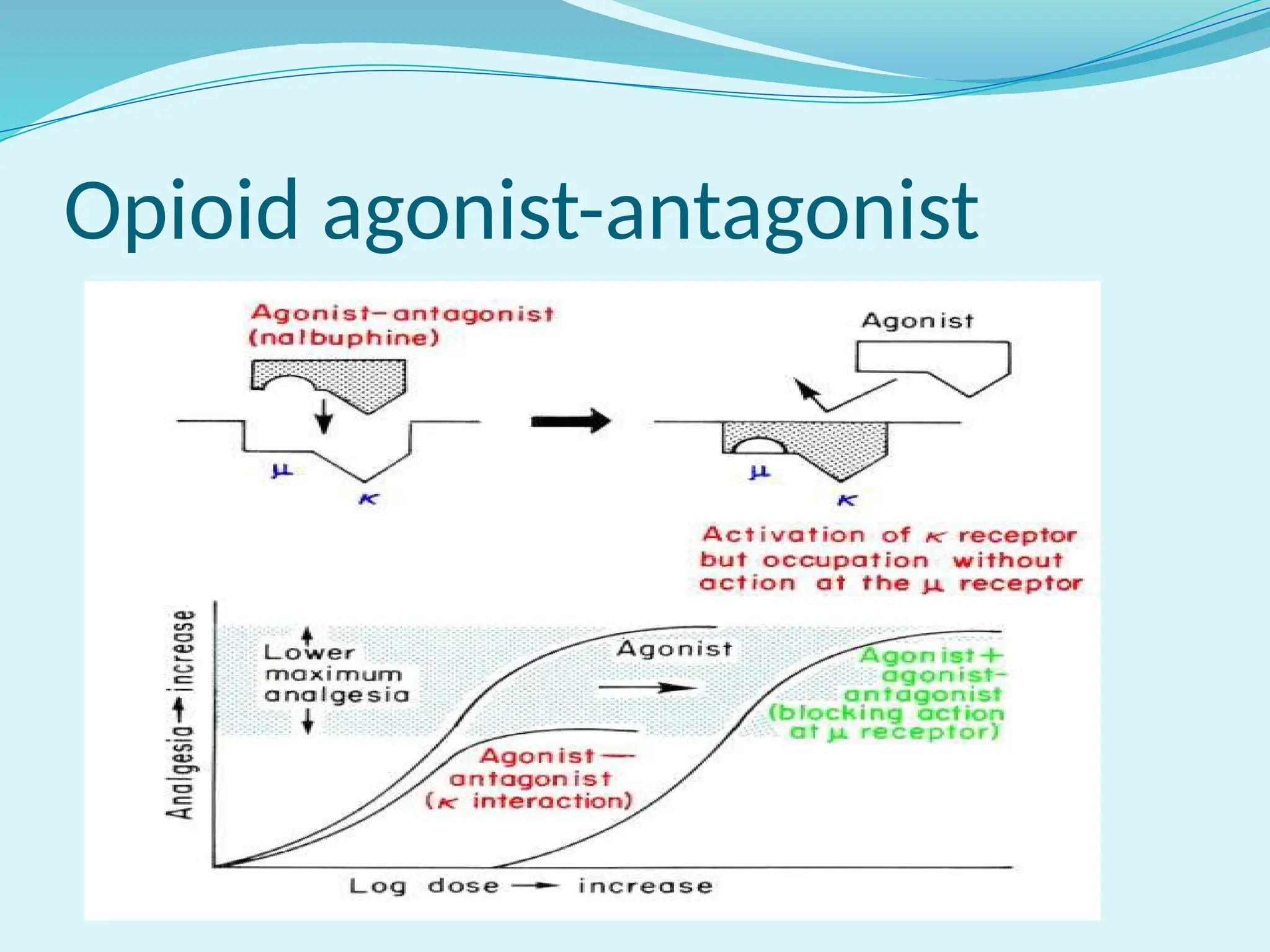 Presentation ON OPIOIDS................... | PPTX