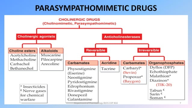 Seminar on parasympathomimetic and parasympatholytic converted