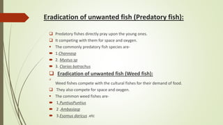 Seminar on pre stocking management of nursery pond. | PPTX