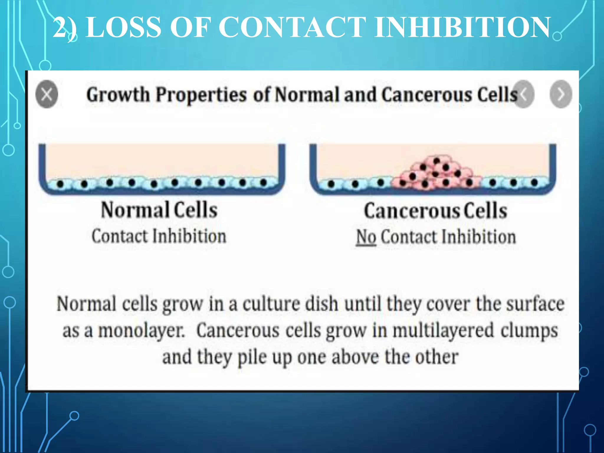 Properties of cancer cells | PPTX