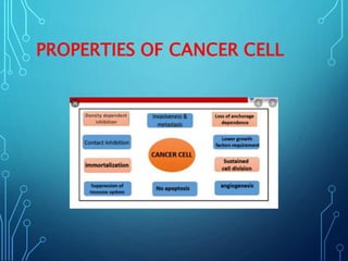 Properties of cancer cells | PPTX