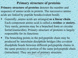 Seminar on protein and protein structure | PDF