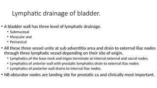 Seminar on REAMPP of lower urinary tract,.pptx