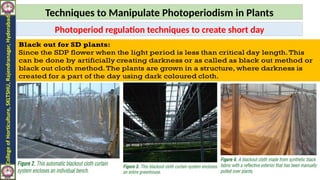 regulation of flowering in flower crops it includes various methods of ...
