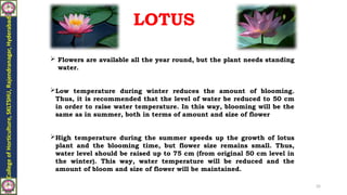 regulation of flowering in flower crops it includes various methods of ...