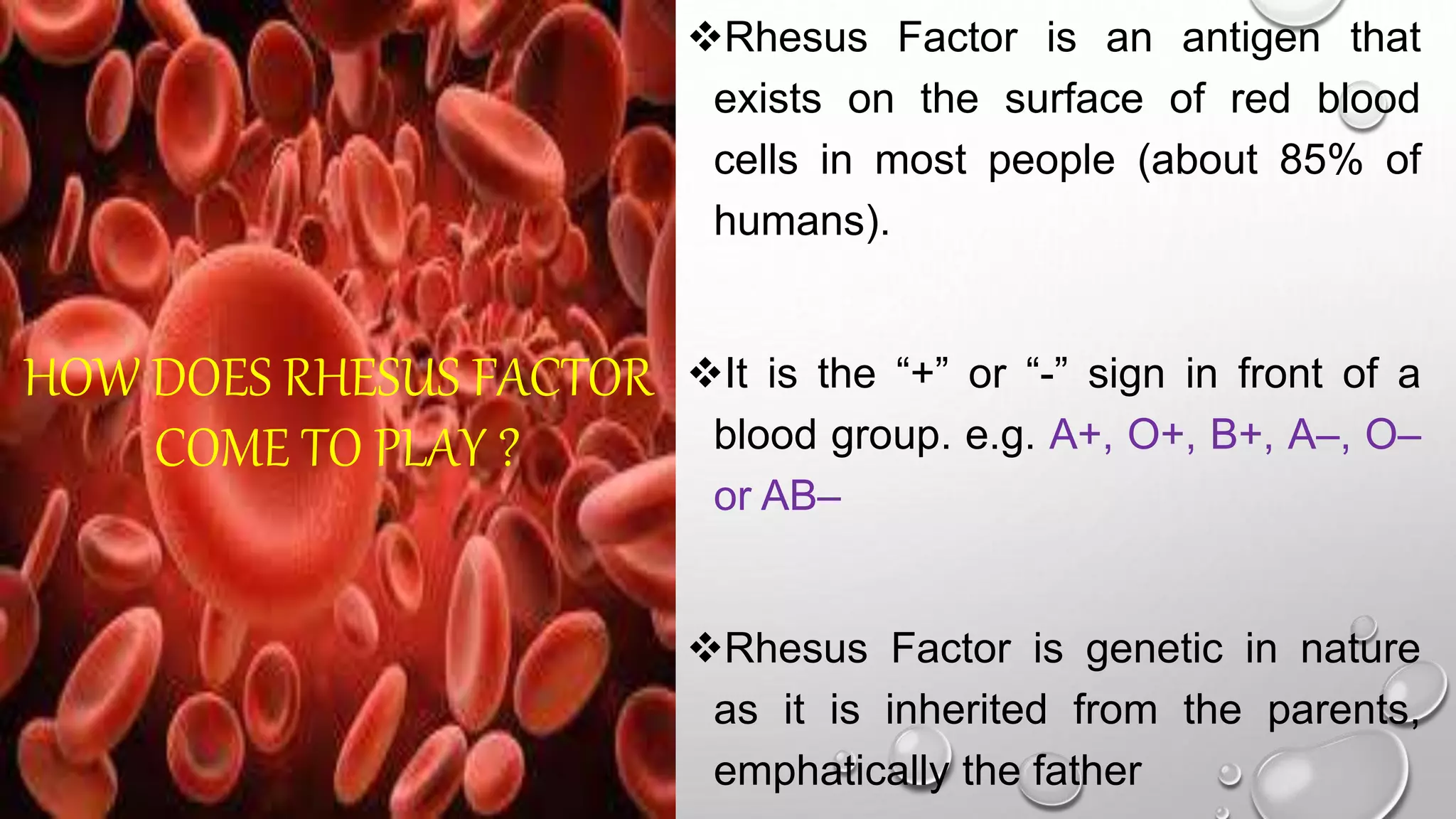 seminaronrhesusfactor-EDITED.pptx