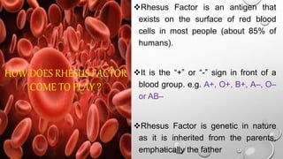 seminaronrhesusfactor-EDITED.pptx