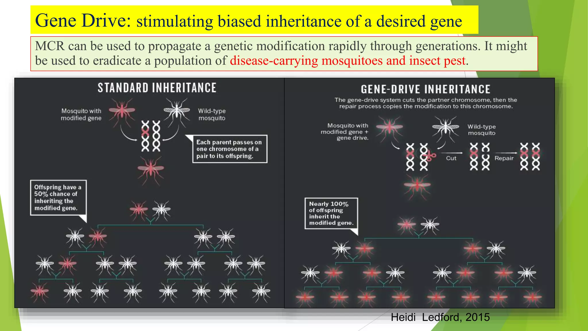 Role of biotechnology for sustainable AGRICULTURE | PPTX