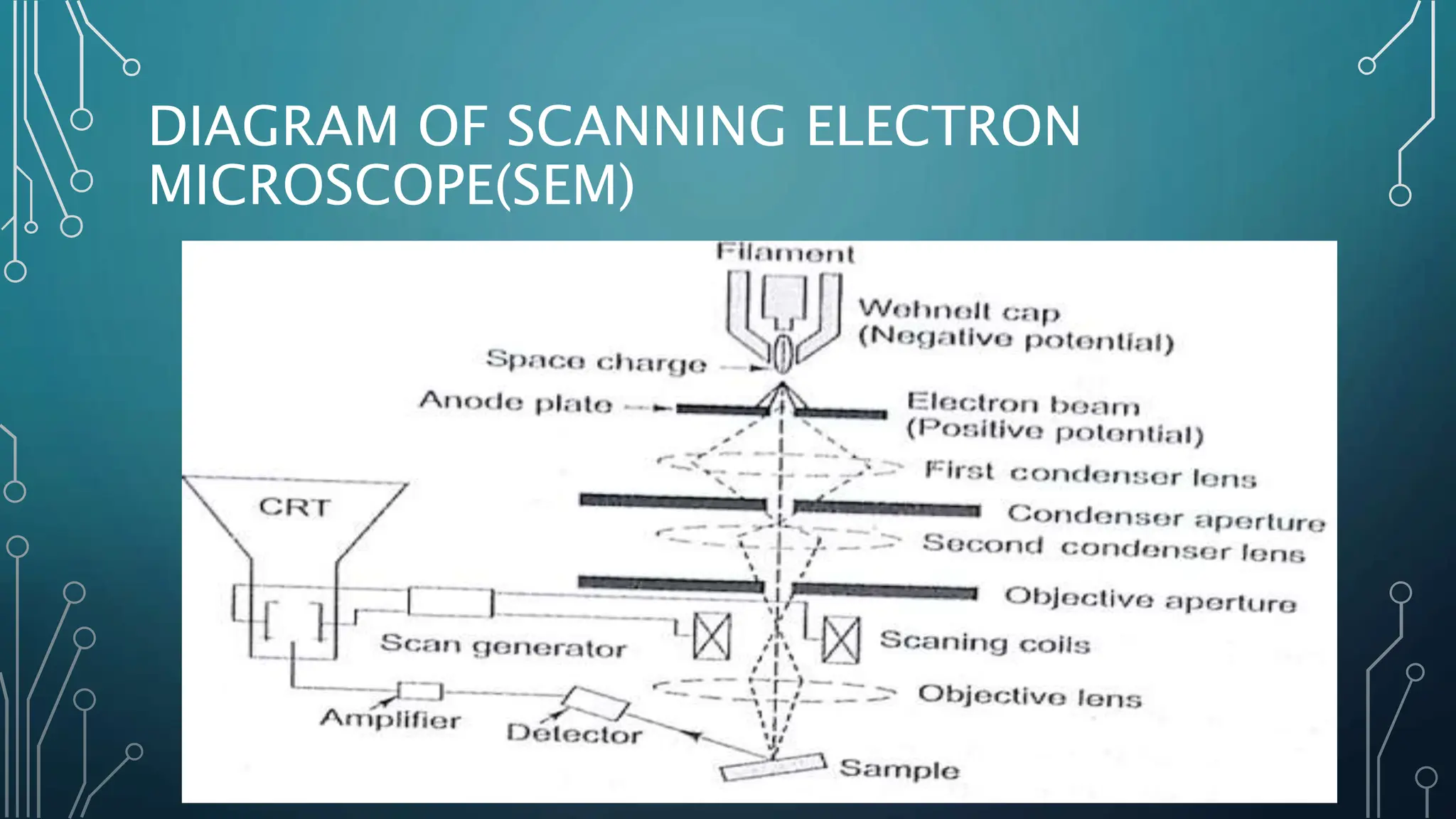 Scanning Electron Microscope (SEM).pptx