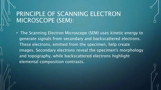 Scanning Electron Microscope (SEM).pptx