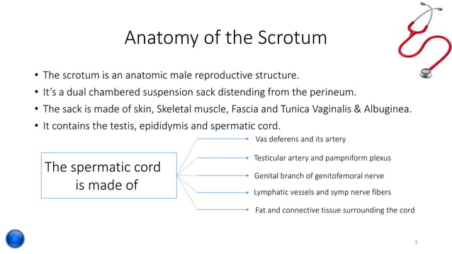 Scrotal and Testicular Swelling.pptx | Infertility | Reproductive Health