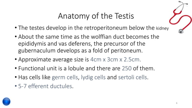 Scrotal and Testicular Swelling.pptx | Infertility | Reproductive Health