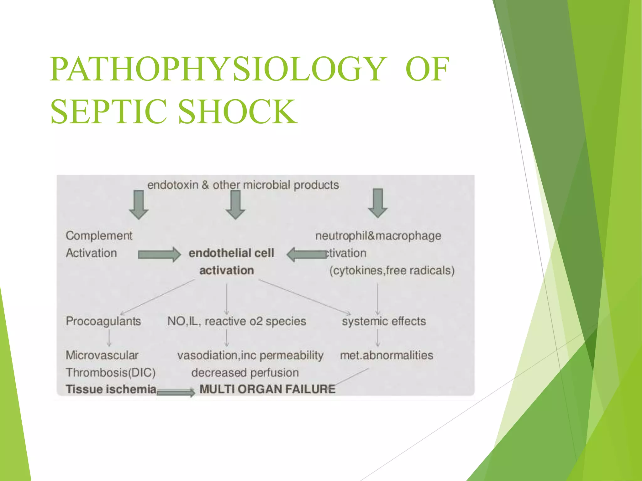 MANAGEMENT OF SHOCK | PPTX