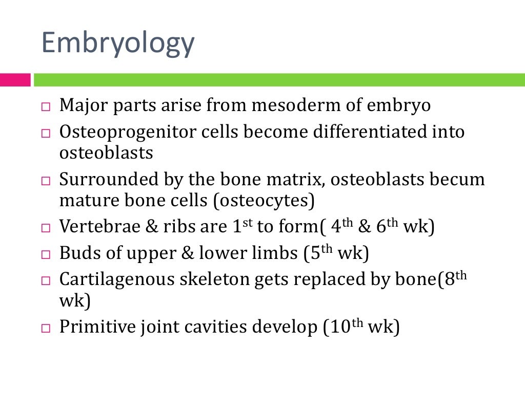 skeletal system disorders | PPTX