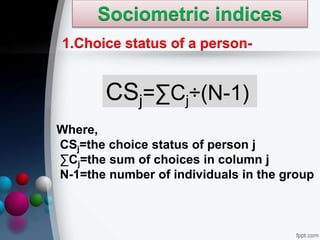 Seminar on sociometry | PPTX