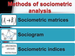 Seminar on sociometry | PPTX