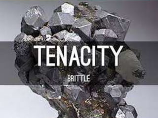 Tenacity Mineral
