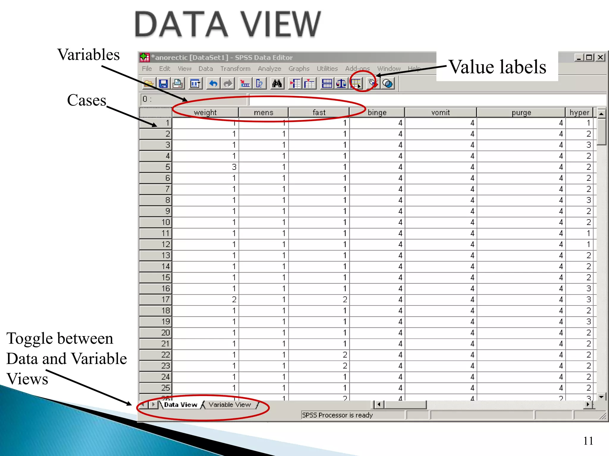 Statistical Package for Social Science (SPSS) | PPTX