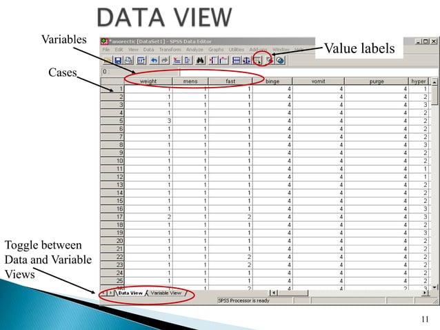 Statistical Package for Social Science (SPSS) | PPTX | Operating Systems | Computer Software and ...
