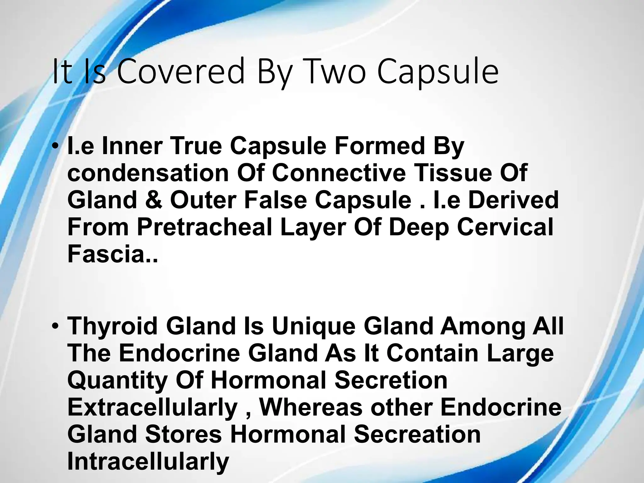 Thyroid Gland Histology Seminar WPS Office.pptx