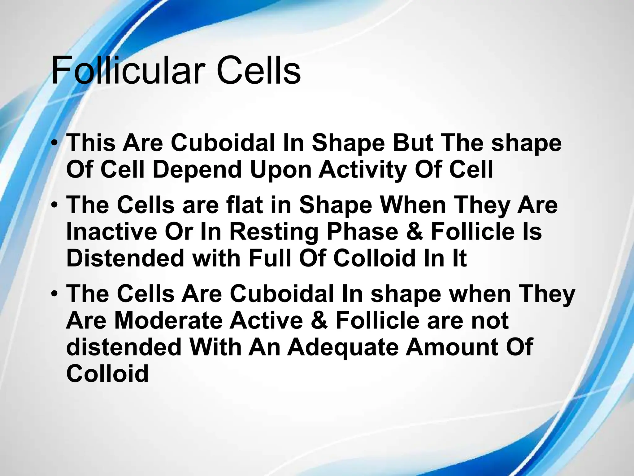 Thyroid Gland Histology Seminar WPS Office.pptx
